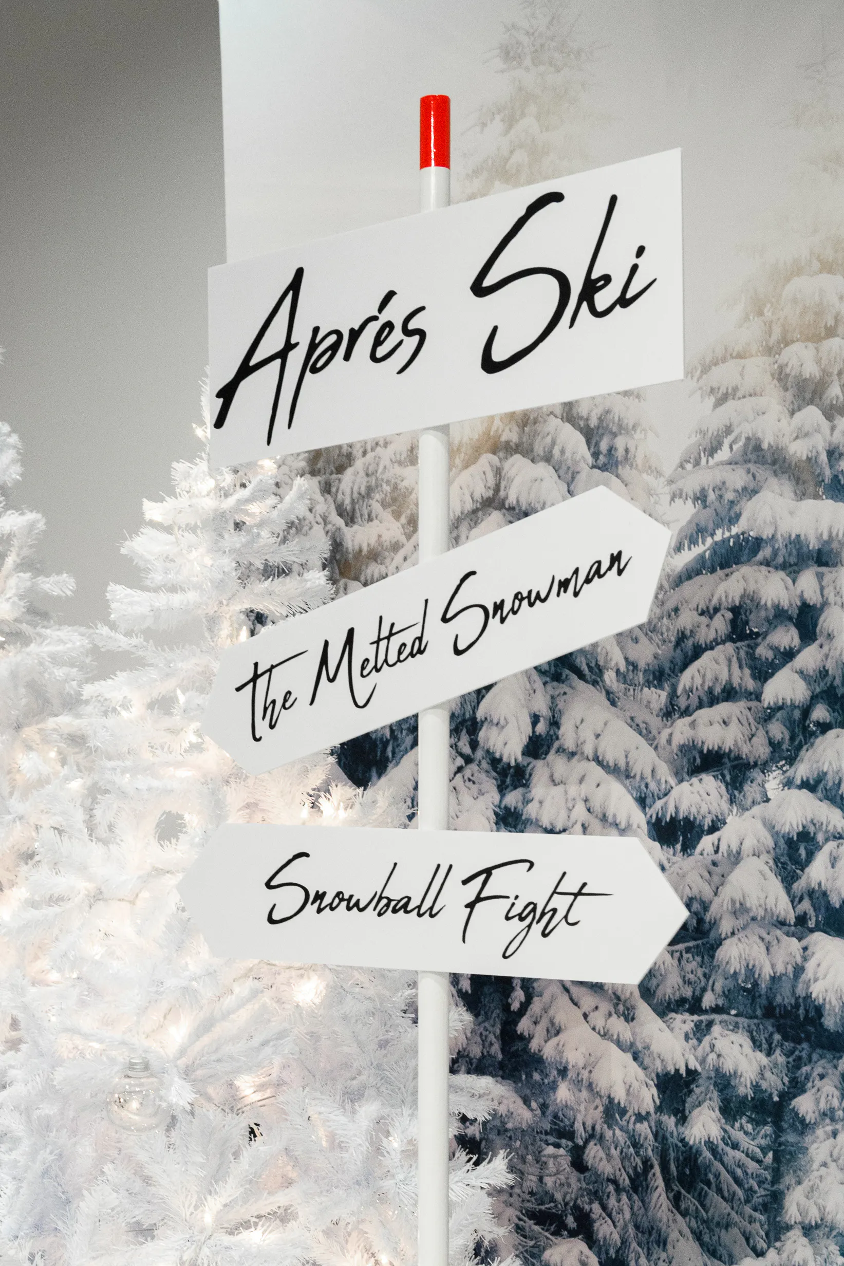 Go for the Gold: 12 Winter Olympics Party Ideas - PartySlate