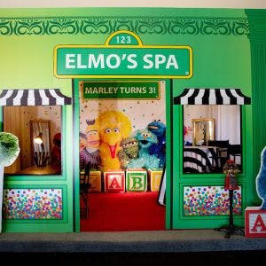 Best 1st Birthday Themes for a [One]derland Celebration - PartySlate