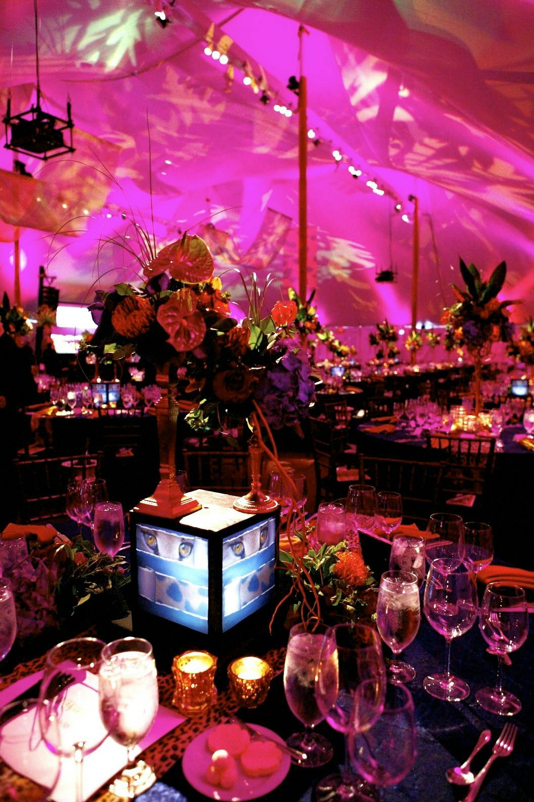 Chicago's Best Galas - PartySlate