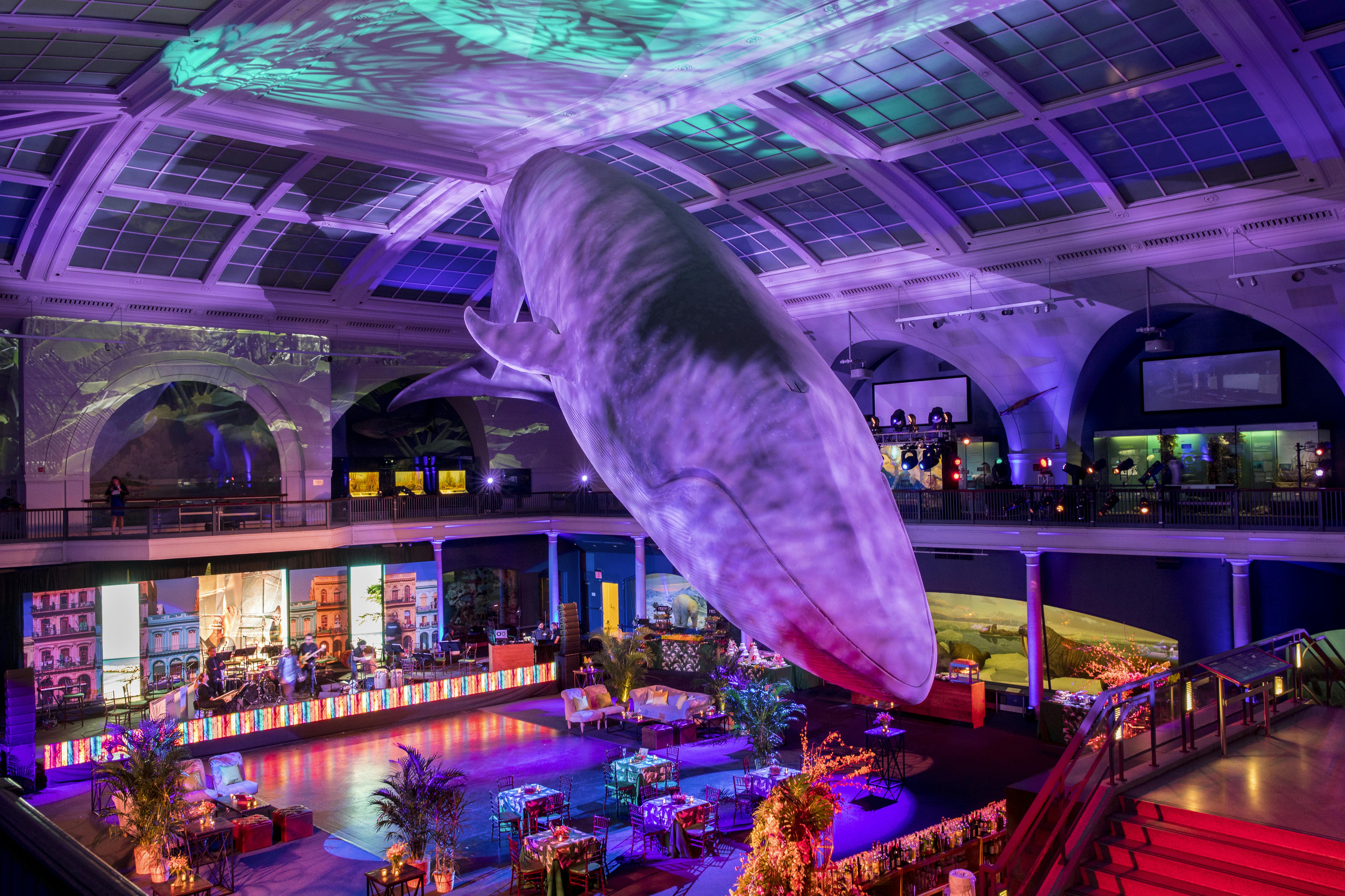 Tuesday Top 5: Projection Mapping Creates Immersive Events - PartySlate